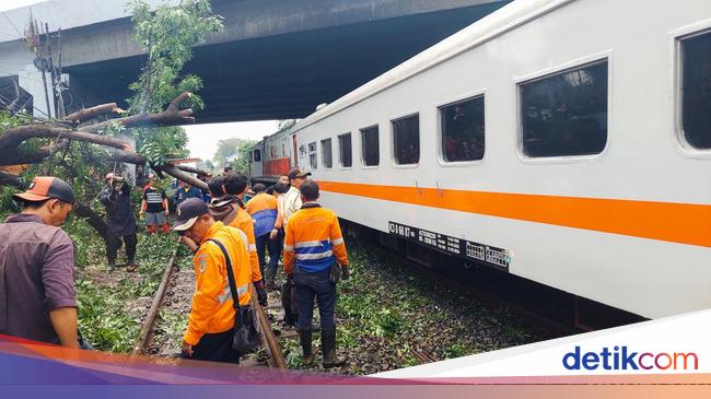 Pohon Tumbang Tutupi Rel Kereta di Cimahi, Perjalanan KA Terganggu
