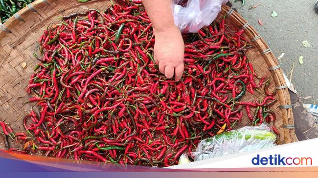 Respons DKPP Kota Bandung Tanggapi Warga yang Beli Cabai Busuk