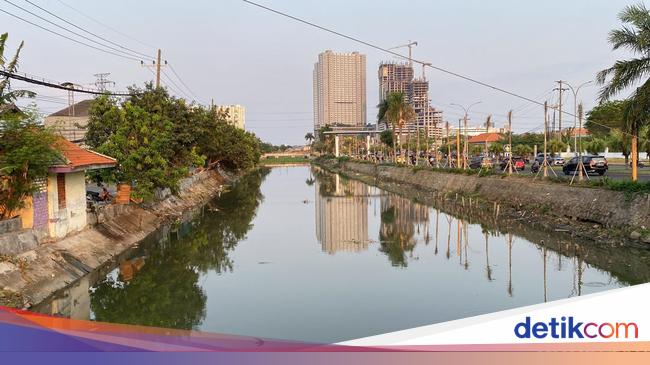 Eceng Gondok yang Penuhi Sungai di Kalisari Damen Surabaya Mulai Berkurang