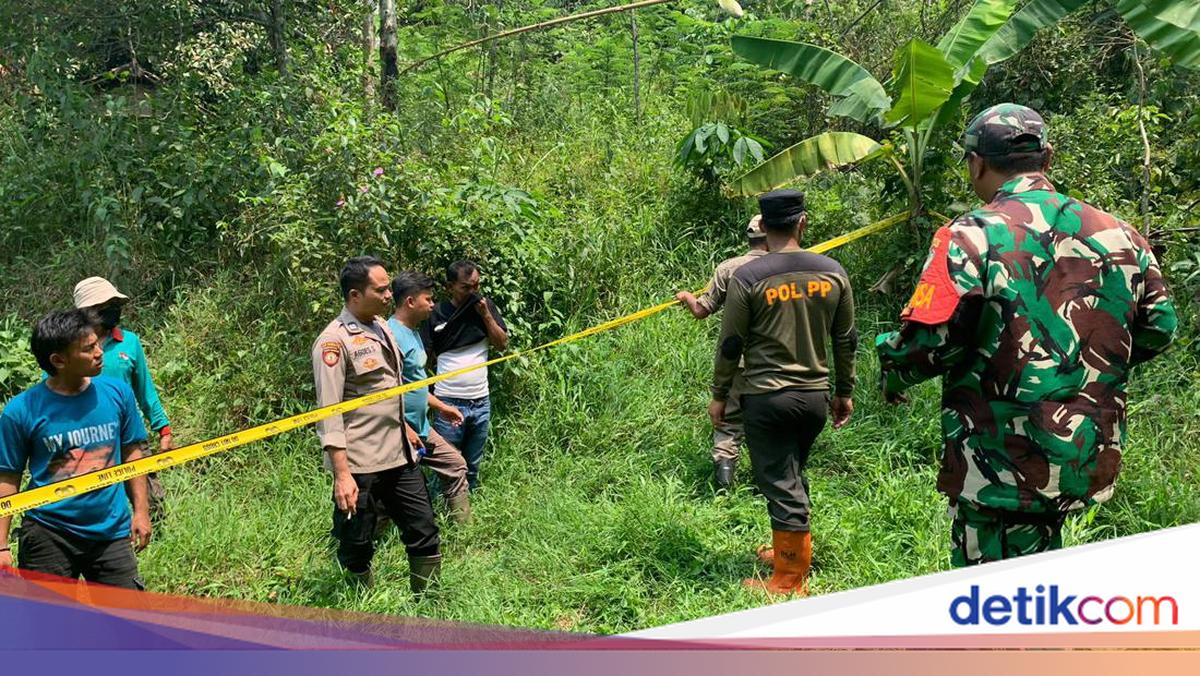 4 Fakta Terbaru Temuan Kerangka Manusia di Hutan Jasinga