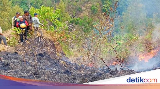 80 Hektare Hutan Lindung di Lereng Gunung Abang Terbakar