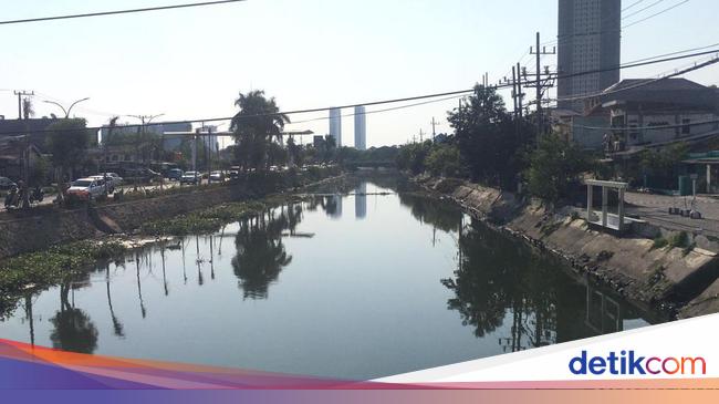 Penampakan Sungai Kalisari Damen Bersih Dari Eceng Gondok