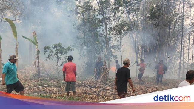 5 Hektare Lahan di Musuk Boyolali Terbakar