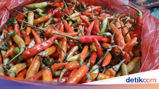 Harga Cabai Setan di Kulon Progo Makin Pedas, Tembus Rp 70 Ribu per Kg