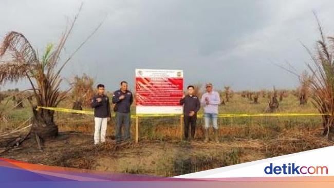 Gakkum KLHK Segel Lahan Terbakar di Kabupaten Banjar Kalsel