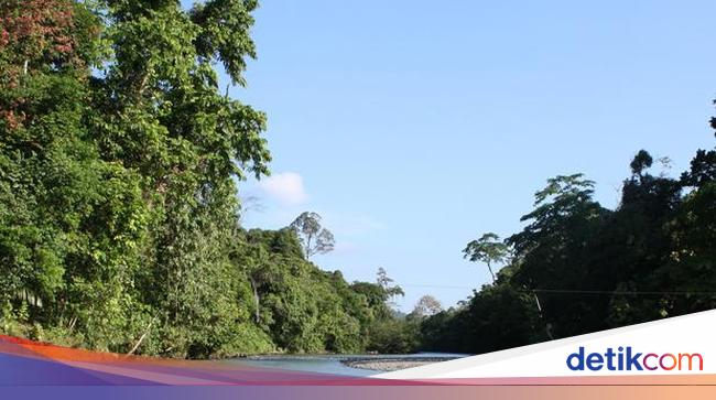 Taman Nasional Gunung Leuser, Rumah Flora dan Fauna Langka