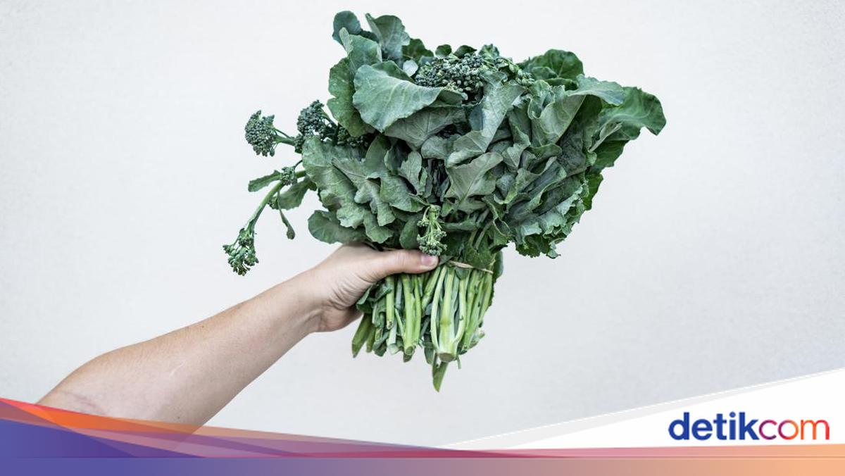 Manfaat Daun Kailan, Kandungan dan Rekomendasi Resep Nikmatnya