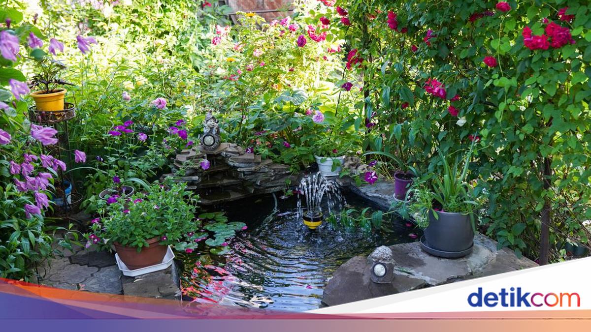 14 Ide Kolam Ikan Mini di Teras hingga Rooftop Rumah Kecil