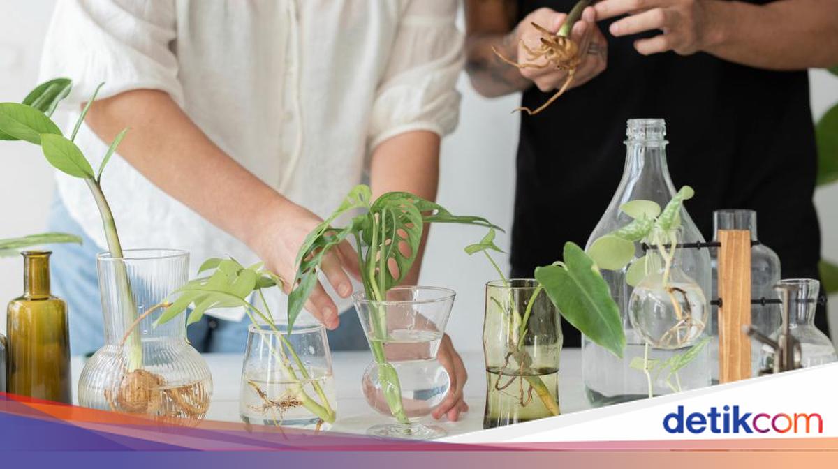30+ Contoh Soal Biologi Kelas 11 SMA Lengkap dengan Jawabannya