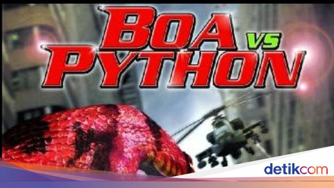 Sinopsis Film Boa Vs Python, Serangan Dua Ular Raksasa
