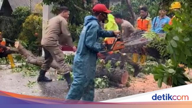 Tertimpa Pohon Saat Melintas, Pemotor di Bogor Alami Luka-luka