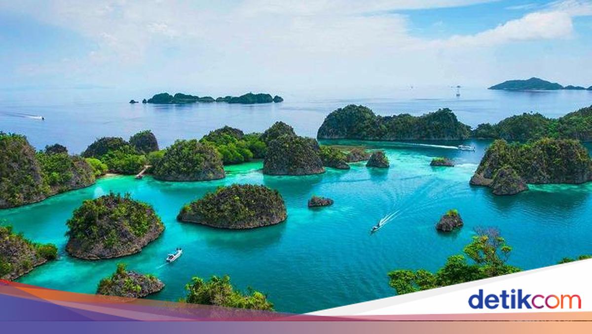 Keindahan Bawah Laut Raja Ampat yang Tak Terkira