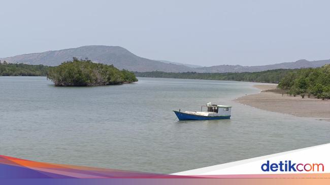 Menjelajahi TWA Menipo di Kupang, Bisa Melihat Rusa Timor