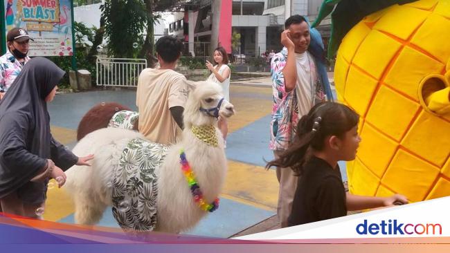 Tempat Rekreasi Berkonsep Unik di Tangerang