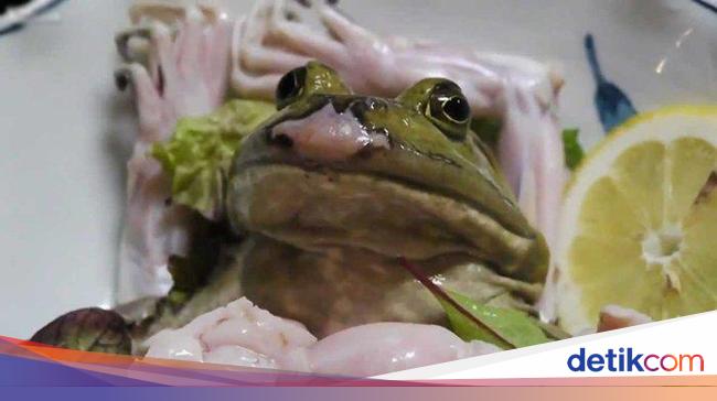 Tampilan 5 Makanan Ini Sukses Bikin Mual dan Nafsu Makan Hilang