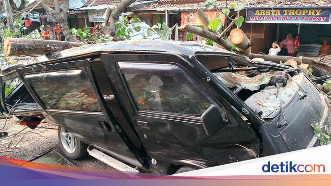 Hujan-Angin Kencang di Mataram: 9 Pohon Tumbang, 2 Mobil Tertimpa