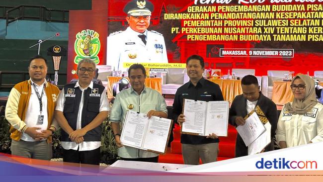 Pemprov Sulsel Gandeng PTPN Ciptakan Lapangan Kerja Program Budi Daya ... Pemprov Sulsel Gandeng PTPN Ciptakan Lapangan Kerja Program Budi Daya ...