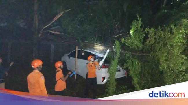 Hujan Deras Disertai Angin Kencang, Sejumlah Pohon di Bogor Tumbang