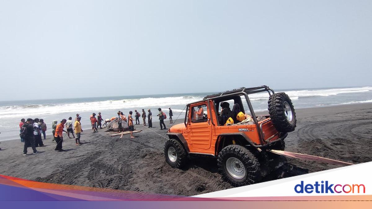 Foto-foto Momen Evakuasi Hiu Tutul Jumbo 1 Ton di Kulon Progo Pakai Jip