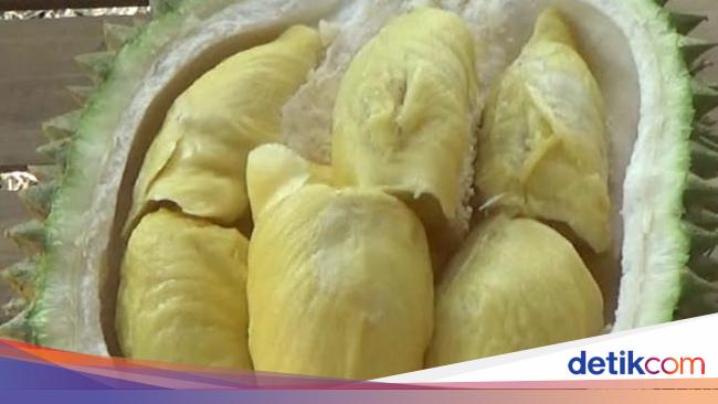 Juara Enaknya! Durian Lokal Punya Daging Tebal dan Rasa Legit Creamy