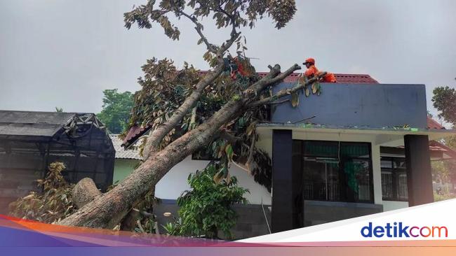 Pohon Duren Tumbang Diempas Angin, Kantor UPT Pertanian di Bogor Tertimpa