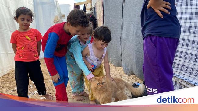 1 Anak Terbunuh di Gaza Setiap 10 Menit