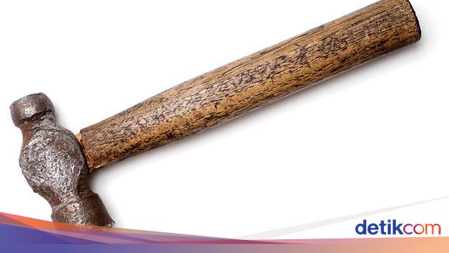 4 Jenis Palu Berdasarkan Fungsi dan Perbedaannya