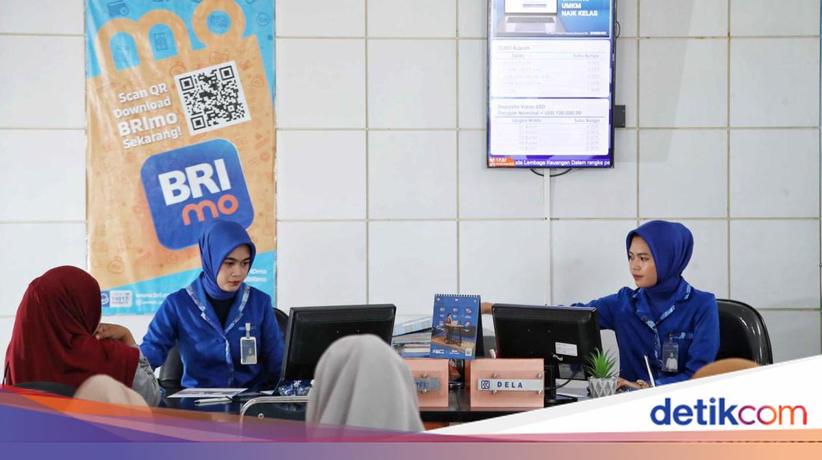 BRI Buka Banyak Lowongan Kerja Jadi MT Hingga Mantri, Ini Syaratnya