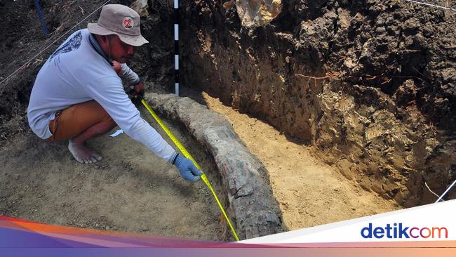 Fosil Gajah Purba Berusia 1,5 Juta Tahun Berhasil Dievakuasi di Kudus