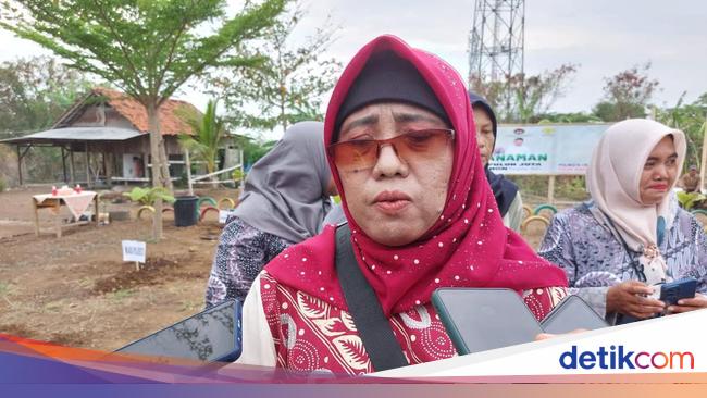 Aksi Emak-emak di Desa Sampiran Tanam Ratusan Pohon Demi Air Melimpah Aksi Emak-emak di Desa Sampiran Tanam Ratusan Pohon Demi Air Melimpah