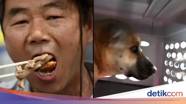 Korea Selatan Akan Larang Konsumsi Daging Anjing di Tahun 2027