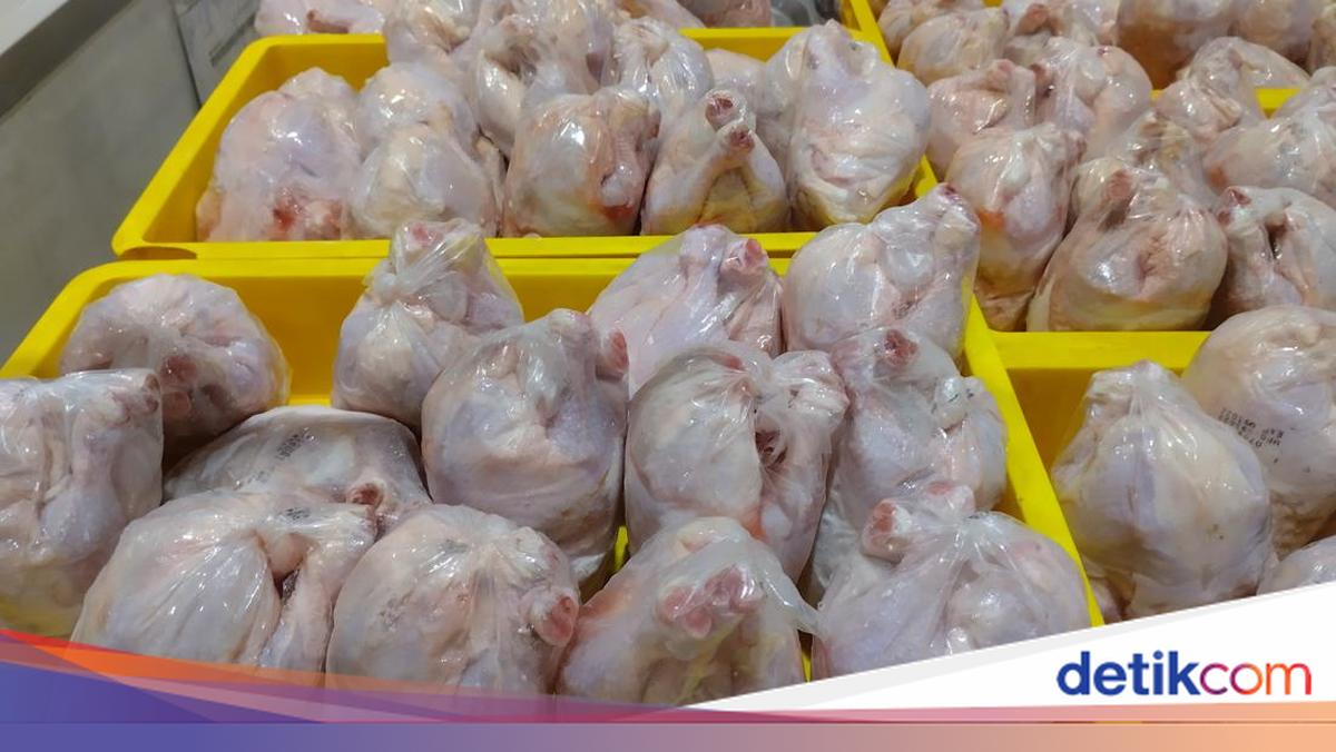 Harga Ayam Naik tapi Masih di Bawah Harga Acuan Pemerintah