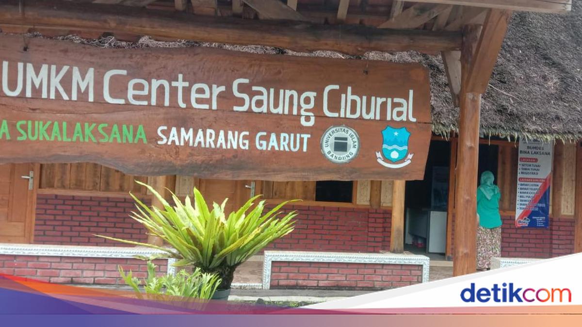BRI Bantu Dongkrak Produksi UMKM Kopi di Garut, dari 10 Kg Jadi 2 Kuintal