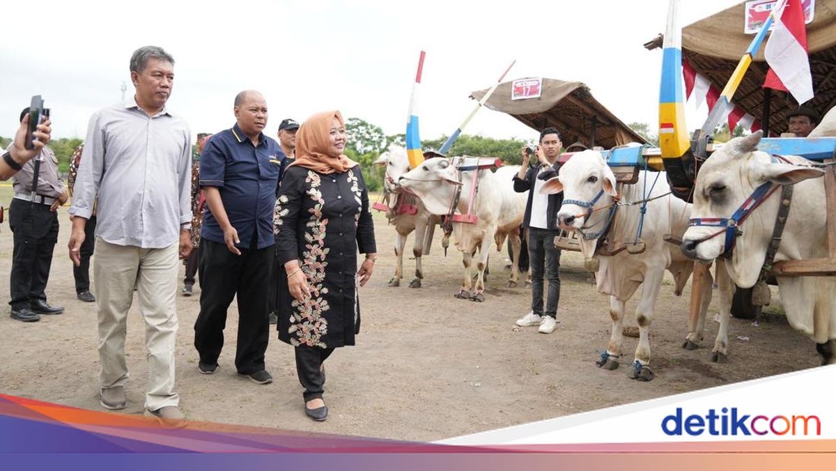 Bupati Sleman Dukung Pelestarian Gerobak Sapi Sebagai Daya Tarik Wisata