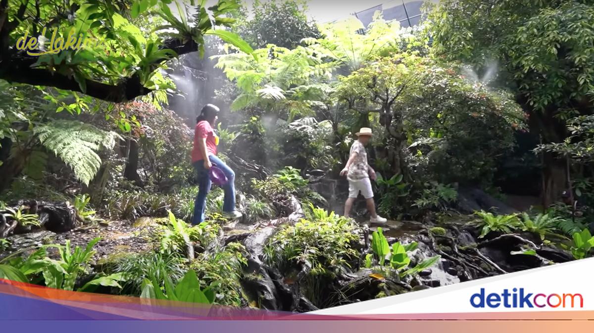 8 Foto Aviary Irfan Hakim, Bak Hutan Asli yang Harganya Capai Miliaran