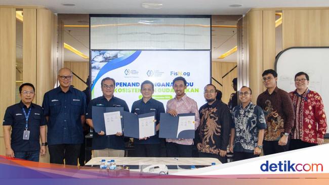 Begini Jurus BUMN Geber Sektor Perikanan Nasional Begini Jurus BUMN Geber Sektor Perikanan Nasional