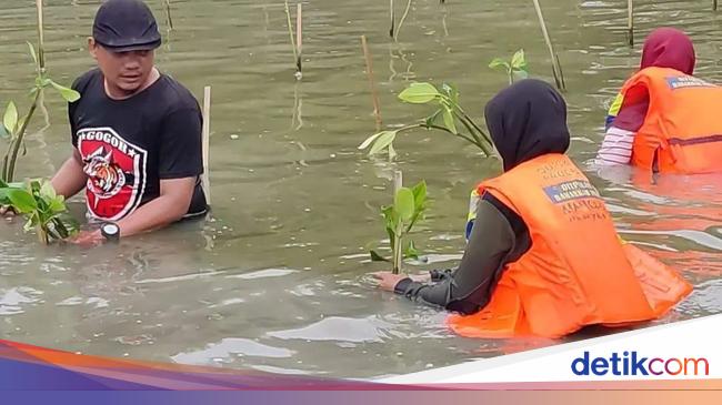 Gogor Sejati, Komunitas Pecinta Alam yang Siaga untuk Kemanusiaan ...