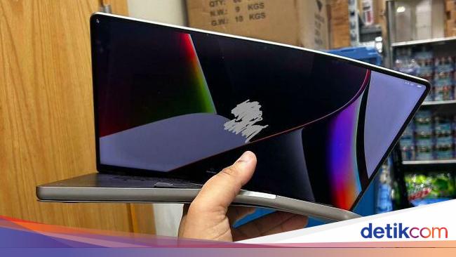 Deretan Foto yang Bikin Tim IT Kantor Menjerit