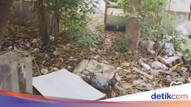 Geger Bangkai Kucing di Bogor Terbungkus Kain Kafan, Sempat Dikira Bayi Geger Bangkai Kucing di Bogor Terbungkus Kain Kafan, Sempat Dikira Bayi