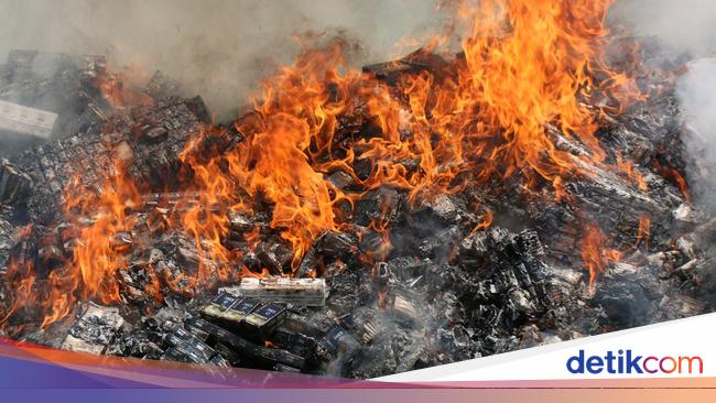 Bea Cukai Bandar Lampung Musnahkan Jutaan Batang Rokok Ilegal Rp 36 M