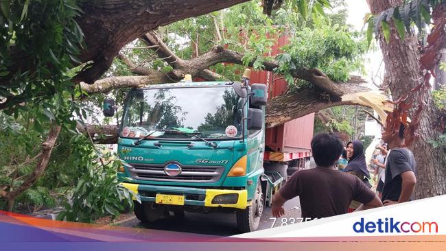 Truk Kontainer Tertimpa Pohon di Ring Road Selatan Bantul, Sempat Bikin ...