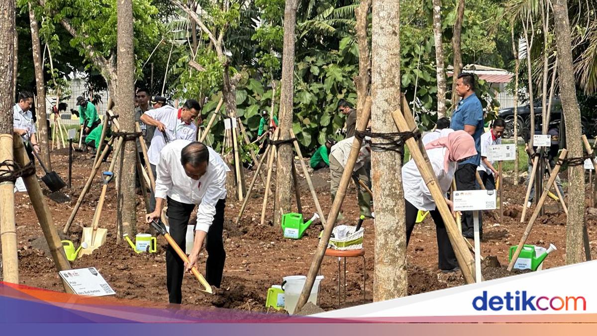Didampingi Heru Budi, Jokowi Tanam Pohon di Pulogadung Jaktim