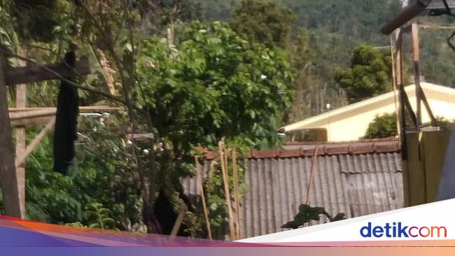 Cerita Bumijawa Tegal, dari Kerajaan Galuh Purba hingga Tuk Jimat