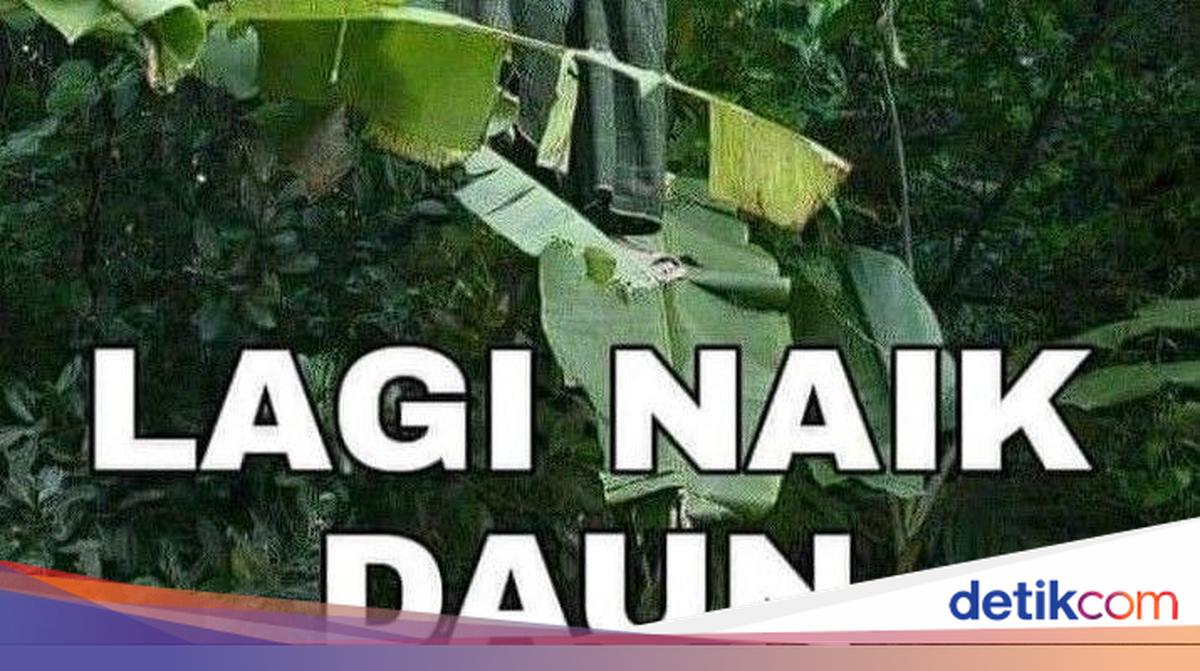 Meme Benar Tapi Salah, Awas Nyengir Sendiri