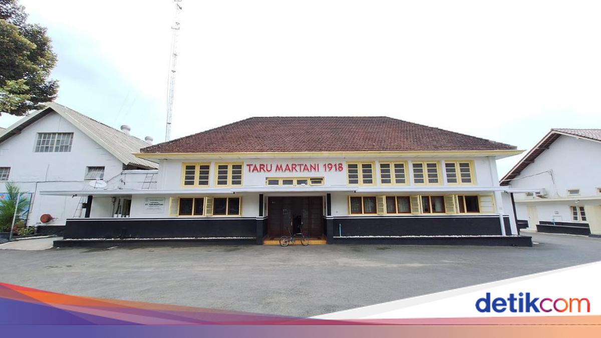 Menengok Taru Martani Pabrik Cerutu di Jogja, Konon Tertua se-Asia Tenggara