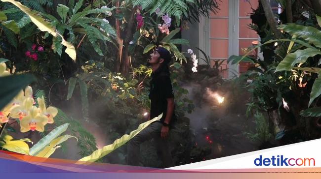 Ngalam Mbois: Herry Rasio Seniman Aquascape yang Mendunia