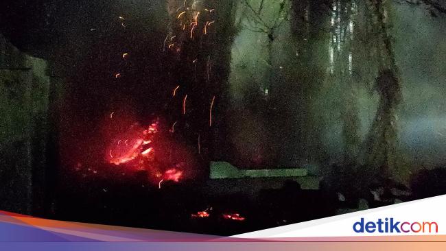 Viral Pohon Terbakar Bak Kembang Api di Permakaman Karangmojo Gunungkidul