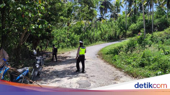 3 Wanita Berboncengan Motor Tabrak Pohon di Banggai, 1 Tewas