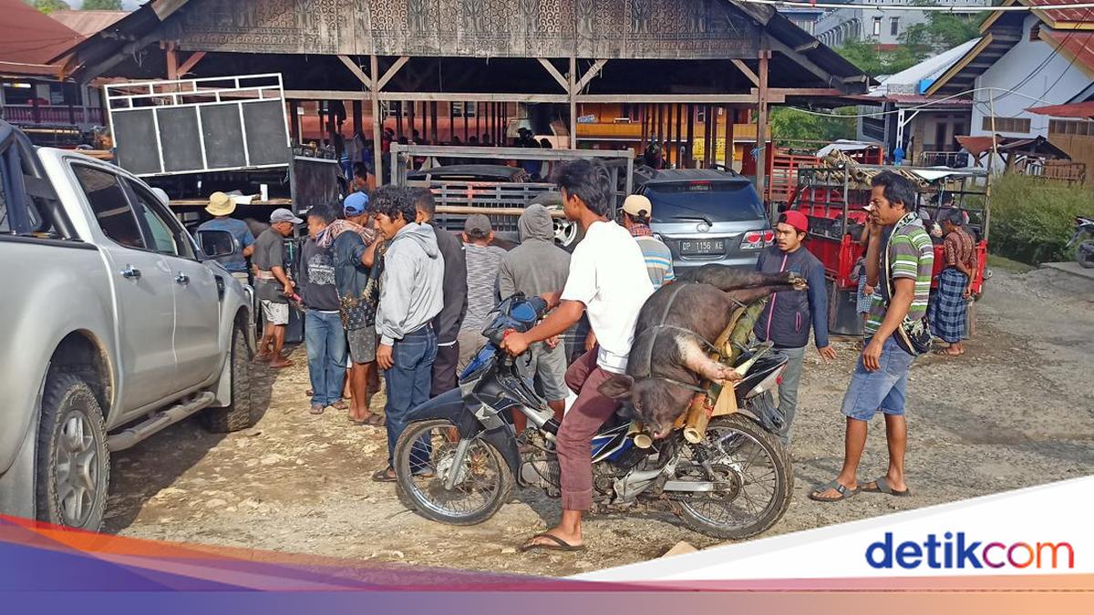 Harga Daging Babi di Toraja Naik Jelang Nataru, Tembus Rp 65 Ribu Per Kg