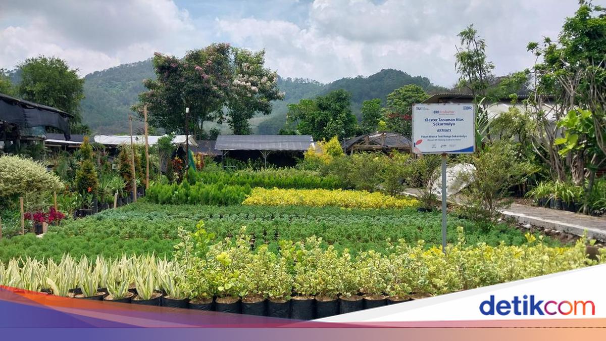 Bunga dan Tanaman Hias Andalan Batu untuk Jadi Kota Agropolitan